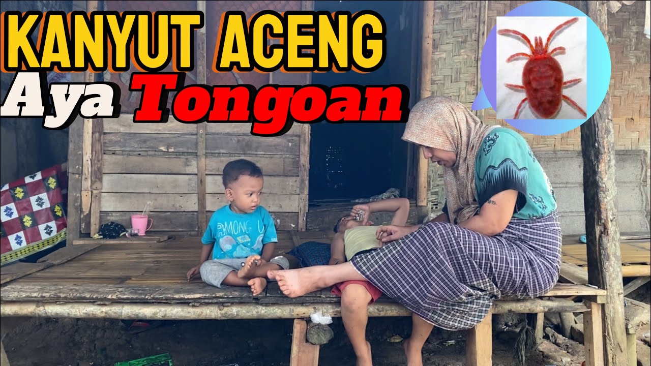 KANYUT ACENG KU TONGO…!!! - YouTube