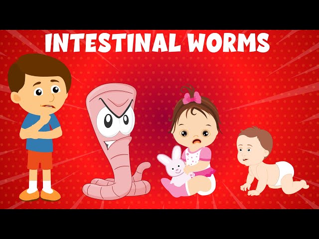 Intestinal Worms, Parasitic Worms, Types of Worms in Humans, Symptoms ...