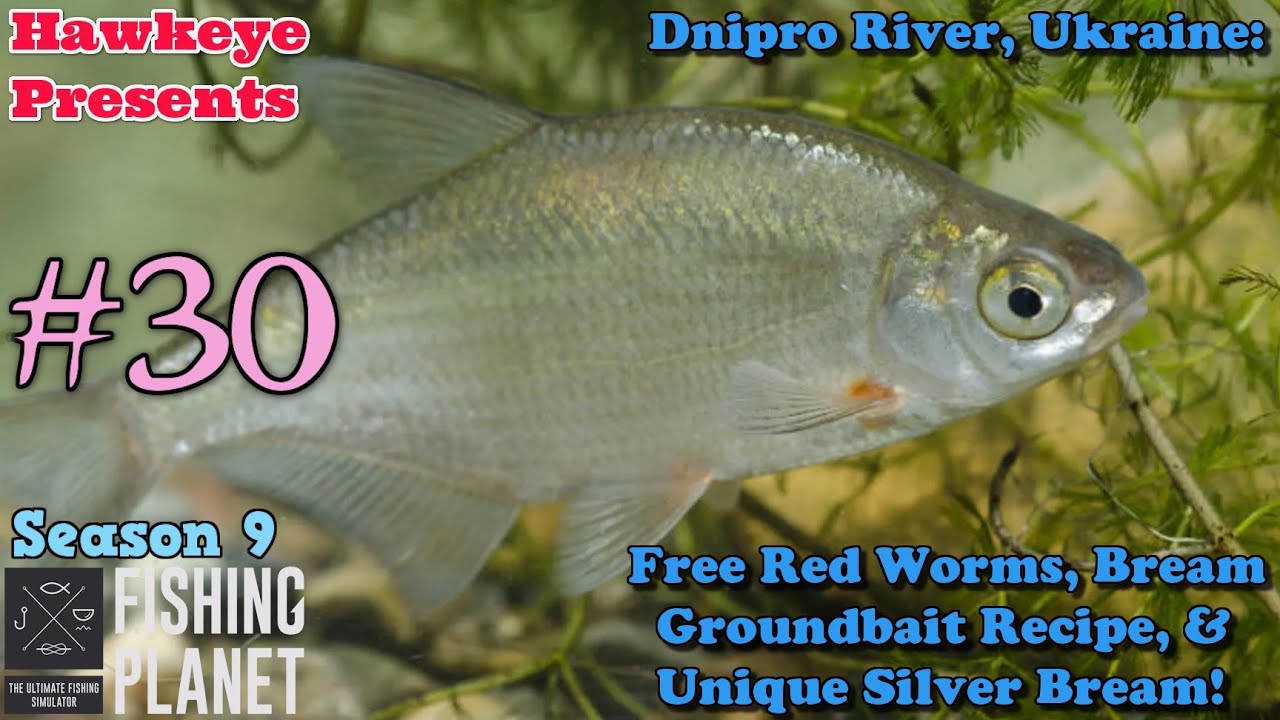 Fishing Planet S9 #29 - Free Red Worms, Bream Groundbait Recipe ...
