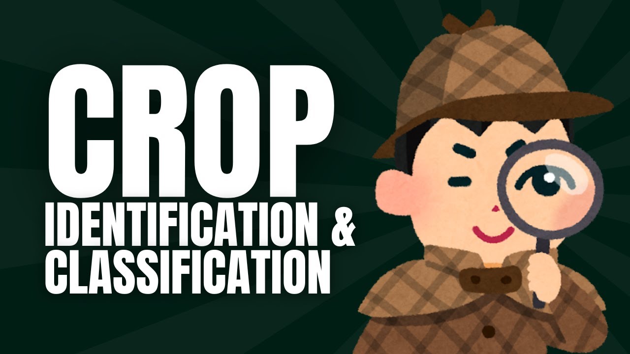 Crop Identification & Classification | FREE Agriculturist Licensure ...