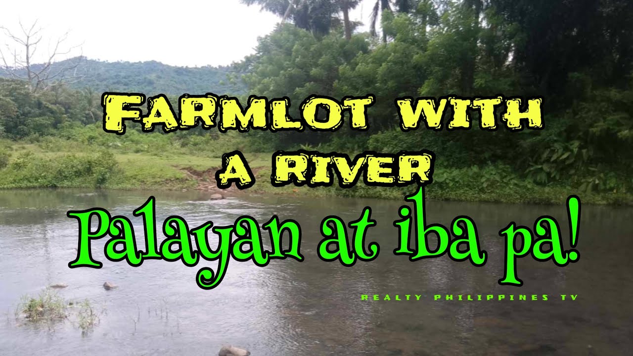 V#850 | Farmlot with a River Palayan at iba pa! | Famy Laguna - YouTube