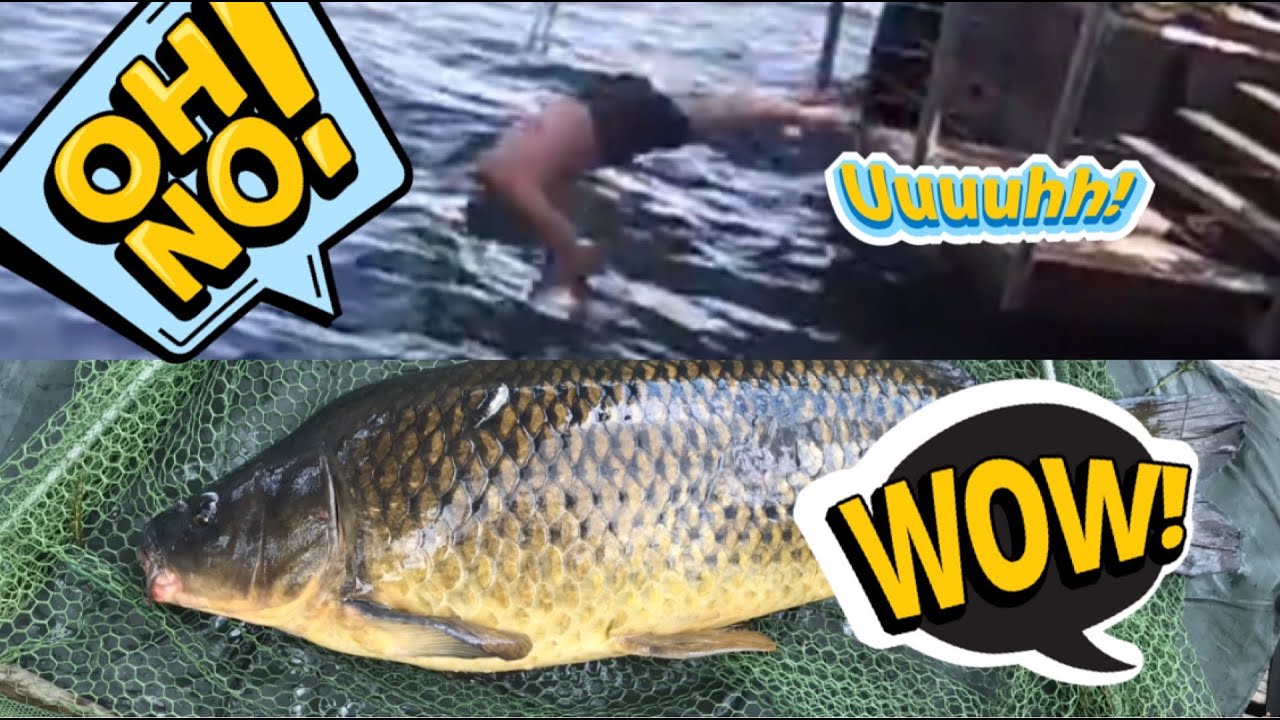 Toronto Urban Carp Fishing in Lake Ontario (DON'T DIVE IN THE WATER ...