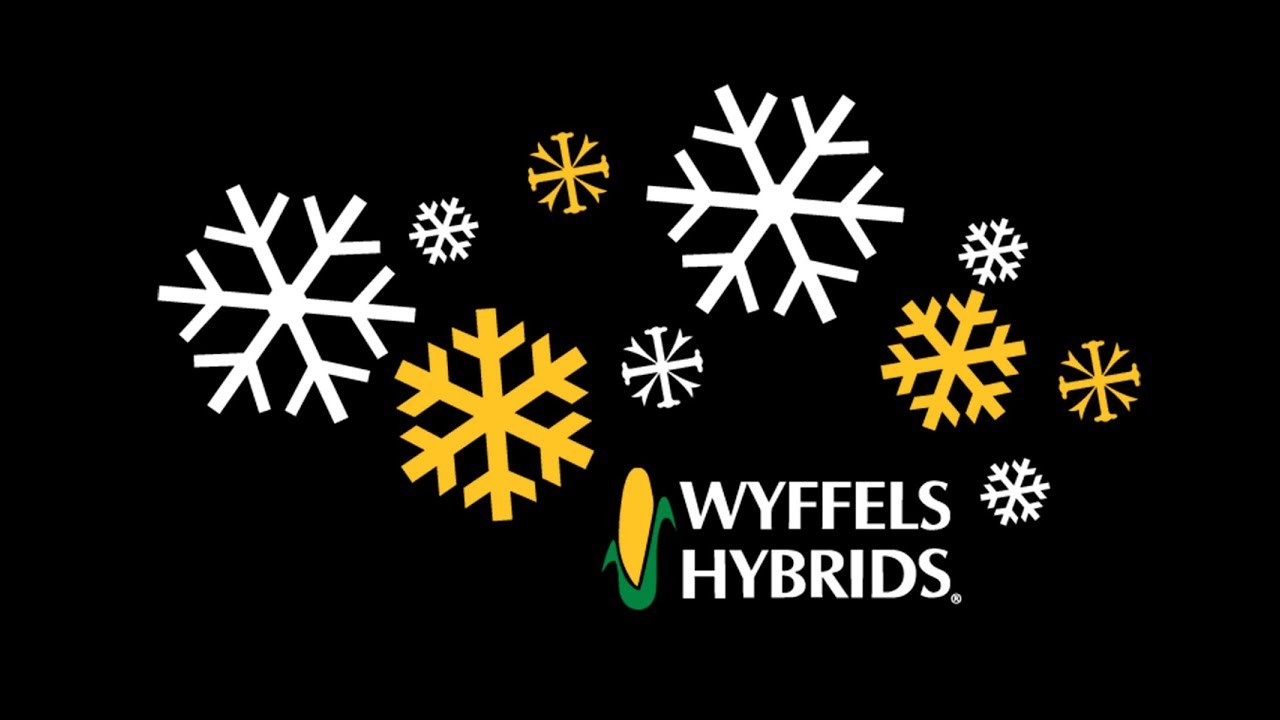 Wyffels Hybrids Holiday Message - YouTube