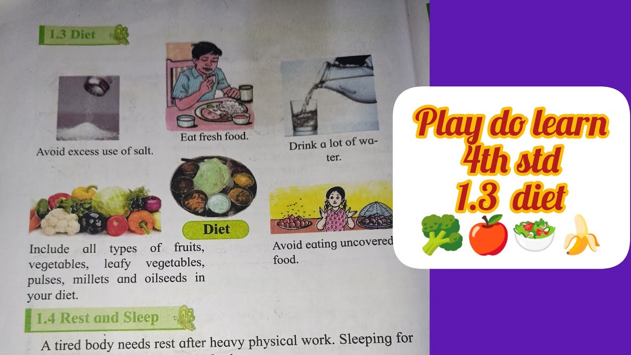 4th Standard English Medium Student Play To Learn Chapter Number 1 3 4th-standard-english-medium-student-play-to-learn-chapter-number-1-3