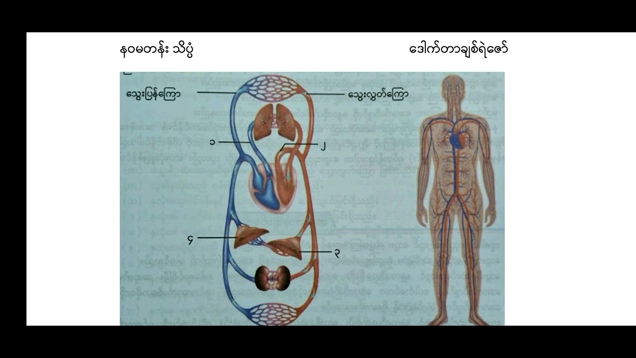 Grade 9 သိပ္ပံ၊ အခန်း ၂၊ ပုံ ၂ ၂၂ Youtube