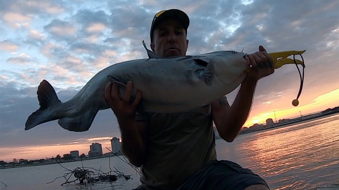 Flatheads Under The Float And Blue Catfish Beaver Action! - YouTube
