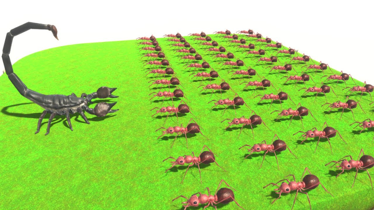 Big Scorpion VS Group Of Red Ant - Animal Revolt Battle Simulator ...