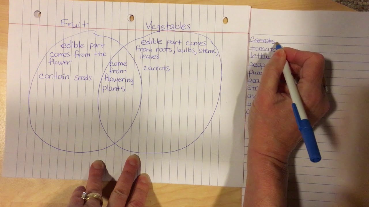 Fruit & Vegetable Compare/Contrast - YouTube