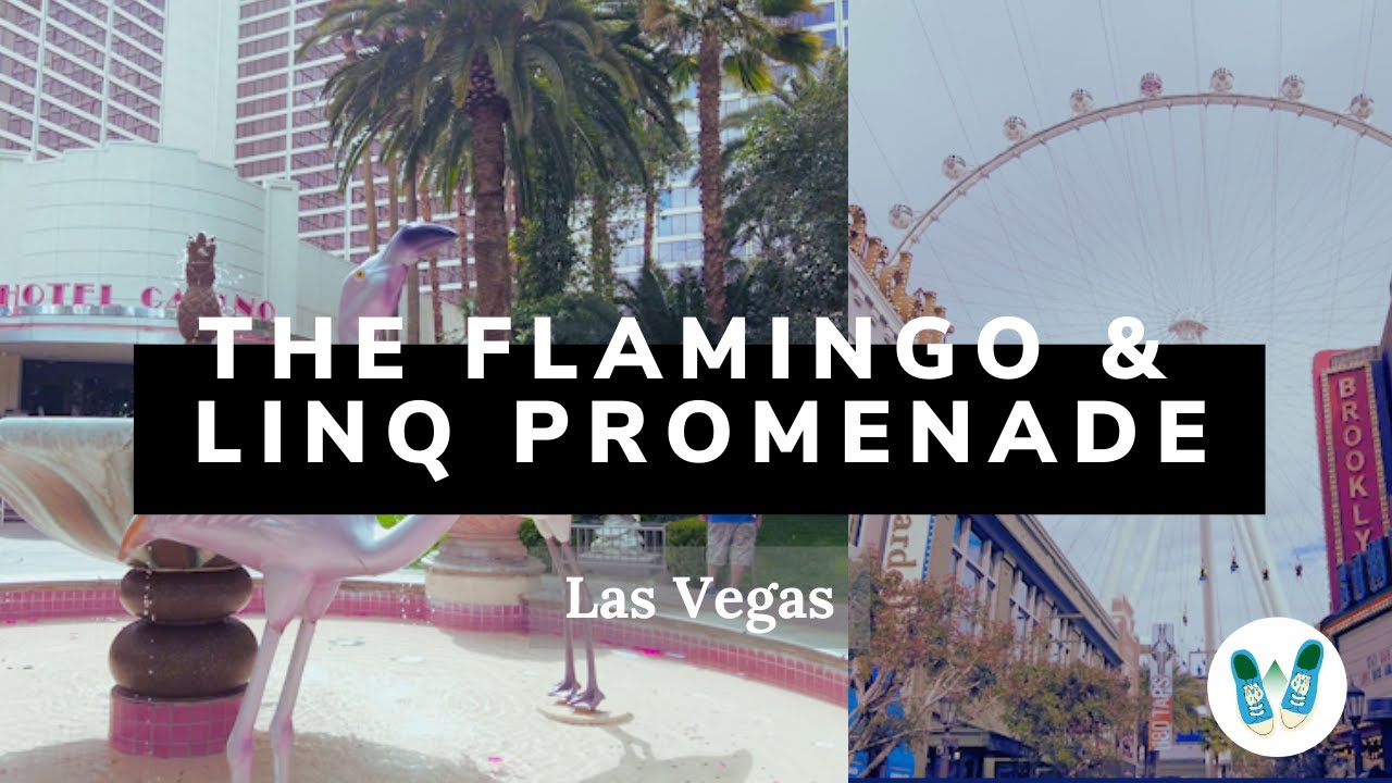 [4K] Wandering Around the Las Vegas Flamingo Hotel and Casino and the ...