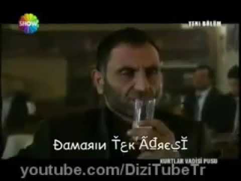 GÜZEL BİR DAMAR ( İYİ SEYİRLER )