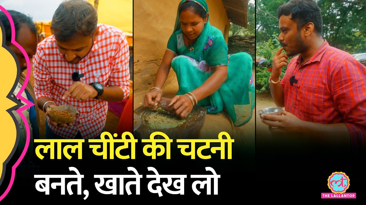 लल्लनटॉप ने चखी लाल चींटी की चटनी! | Red Ant Chutney | Chapda Chutney ...