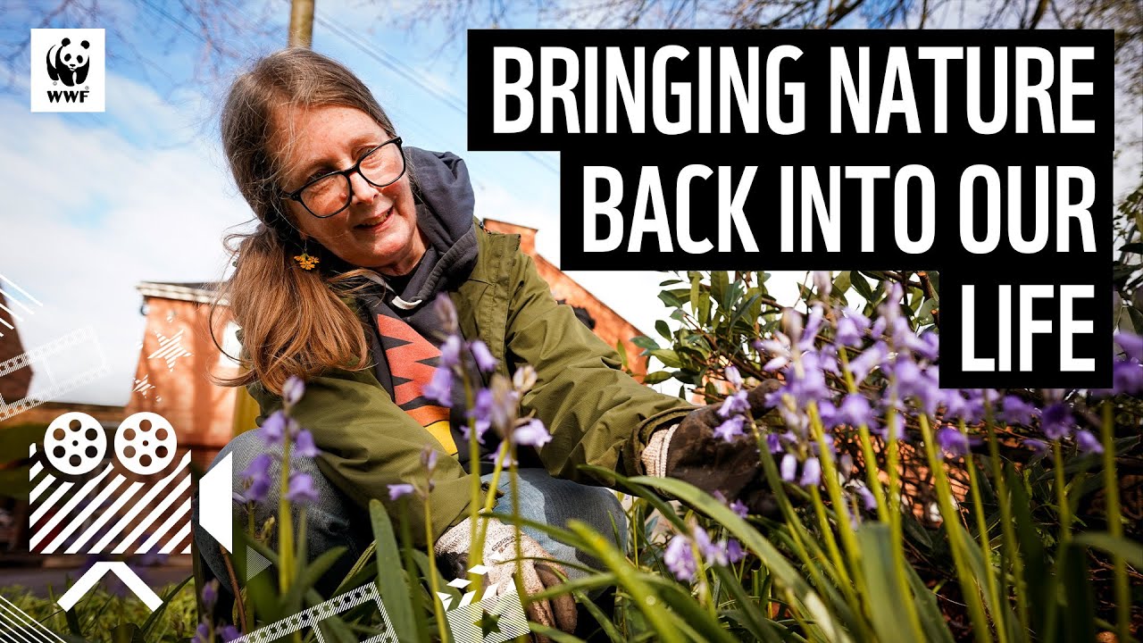 Bringing Nature Back into our Life | UK Nature Restoration Series | WWF ...