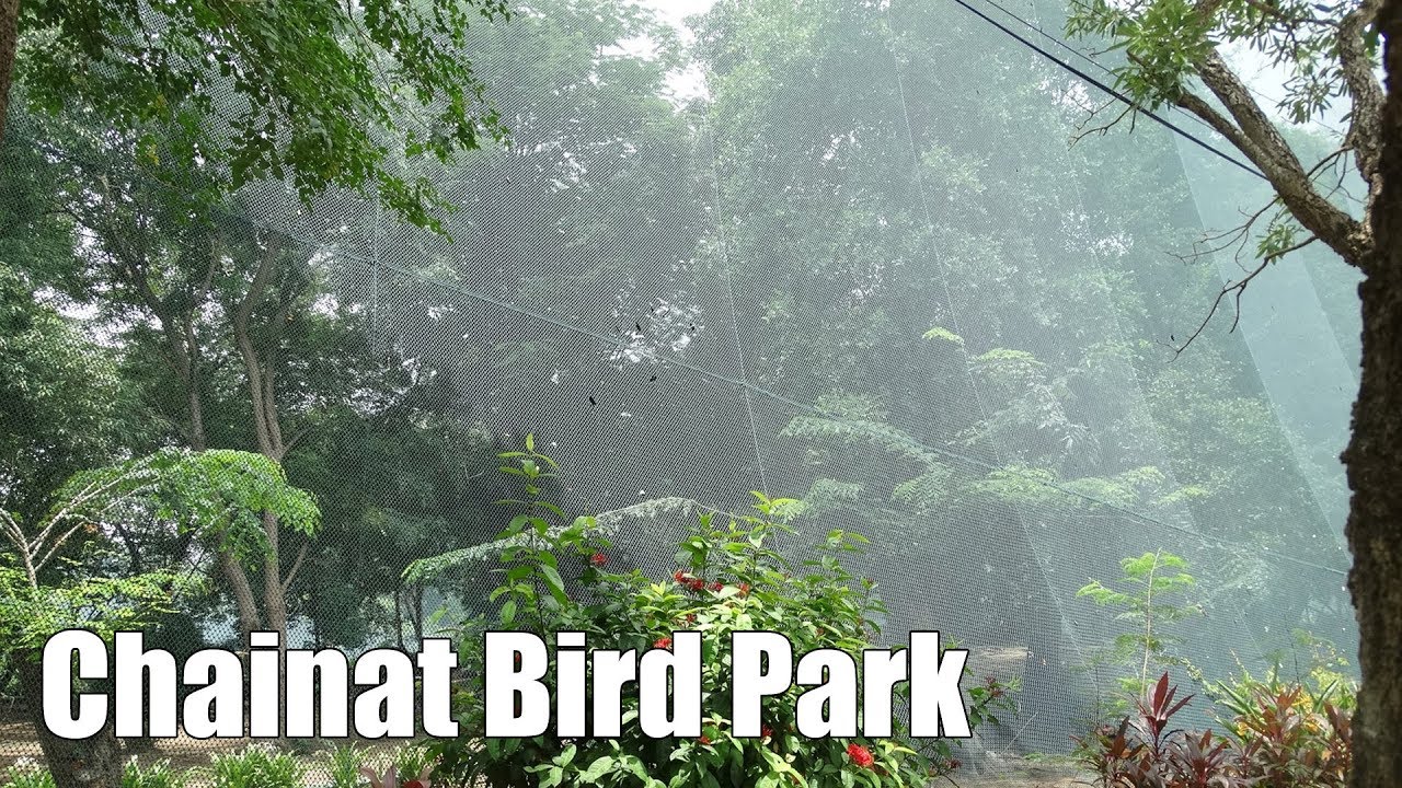 Chainat Bird Park สวนนกชัยนาท to be the biggest bird sanctuary in Asia ...