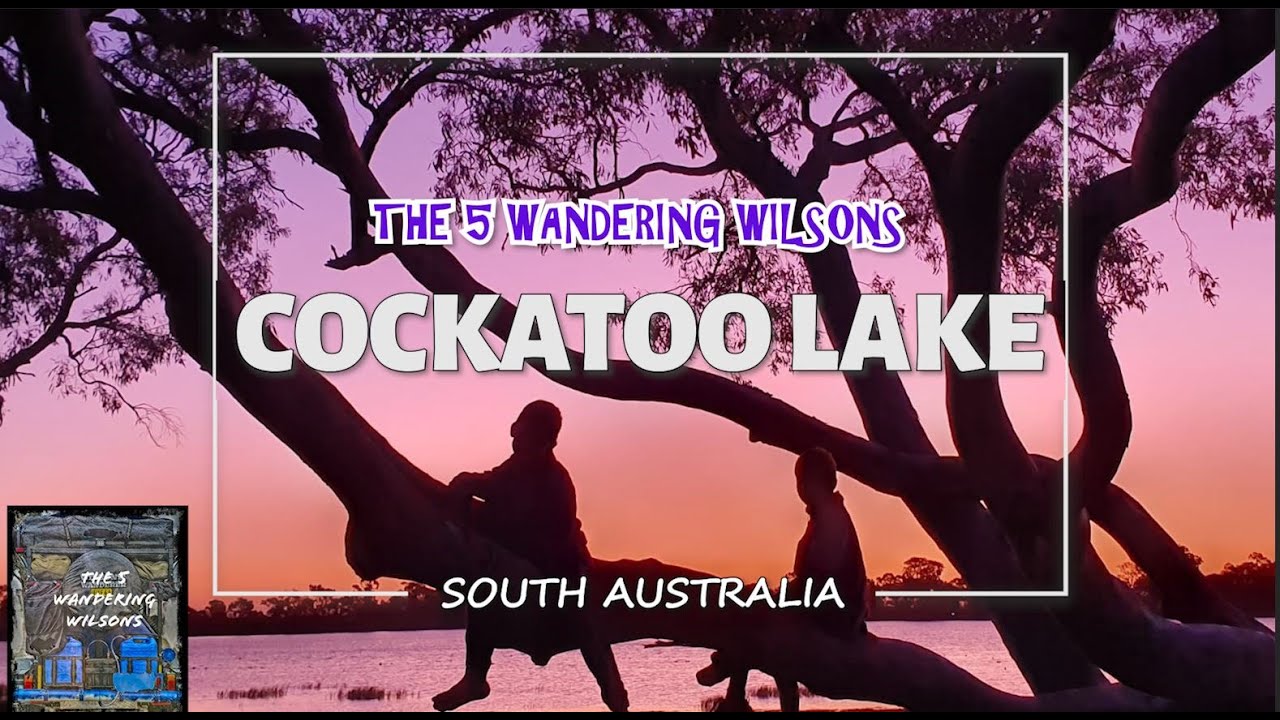 Cockatoo Lake SA March 2020 - YouTube