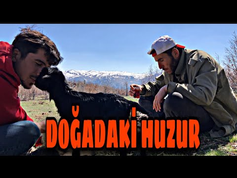 Çoban Abdullah ile dağda kahvaltı çay keyfi(KÜÇÜK MİSAFİRİMİZ)