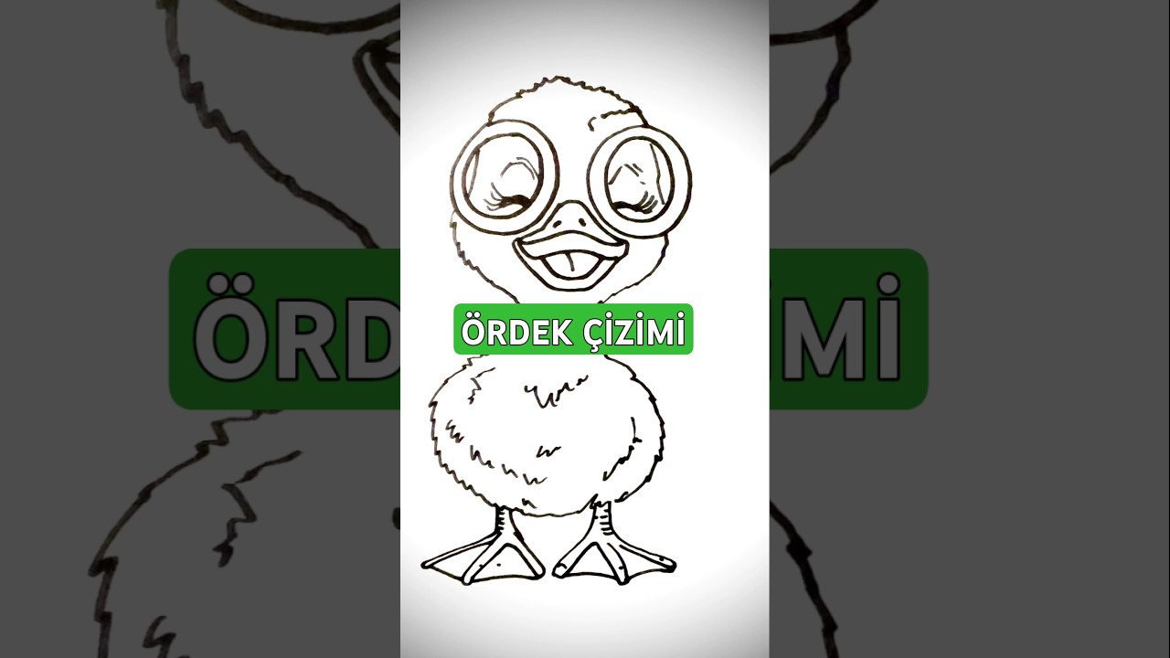 ördek çizimi kolay.adım adım çizim.çizim dersleri.kolay çizimler. # ...