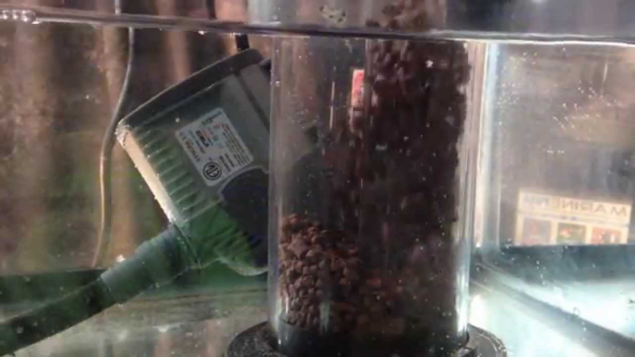 All-In-One BioPellets - 8 Months - ReefKeeping Video Podcast by ...