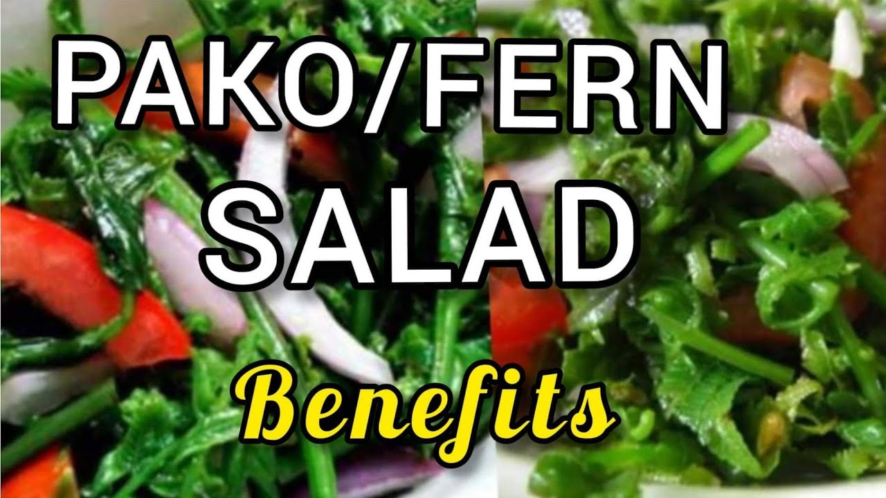 CRUNCHY PACO FERN SALAD WITH SESAME OIL HEALTHY FOOD - YouTube