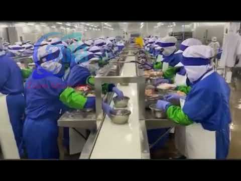 shrimp processing line, shrimp processing, shrimp processing equipment ...