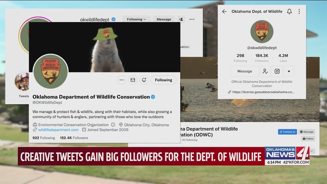 Creative tweets gain big followers for the Dept. Of Wildlife - YouTube