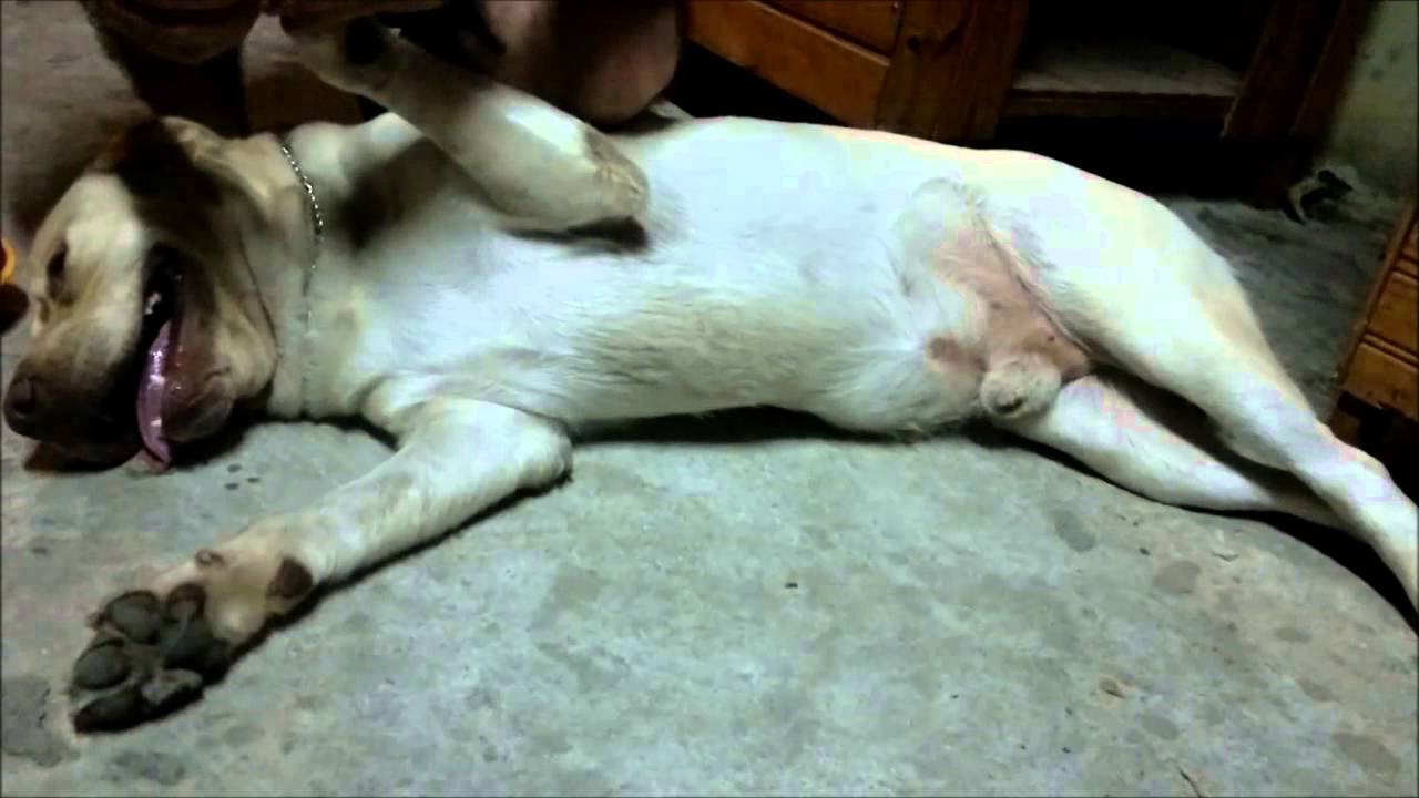 Karnak 28/10/2012 - YouTube