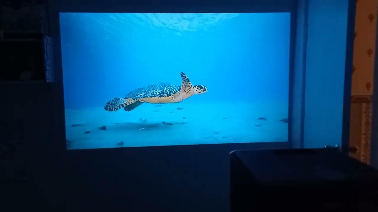 Проектор Zodikam Z02 LED 1280×720 - YouTube