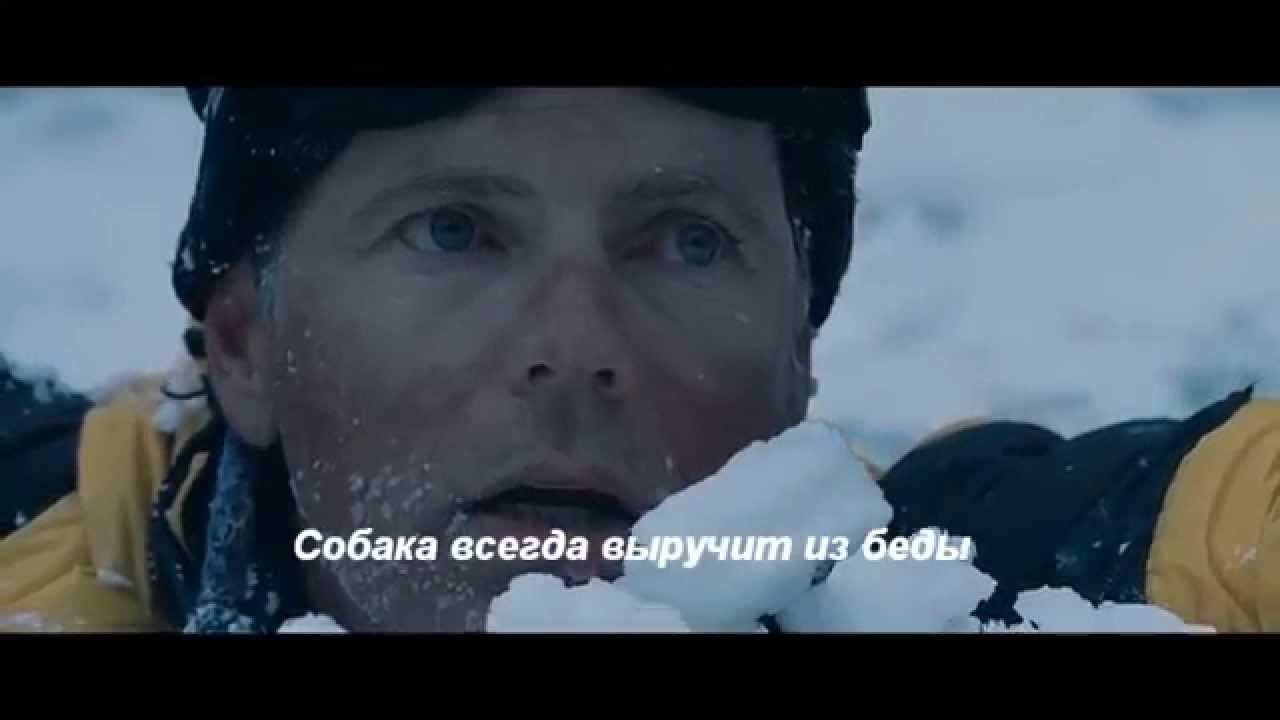 Eight below - YouTube