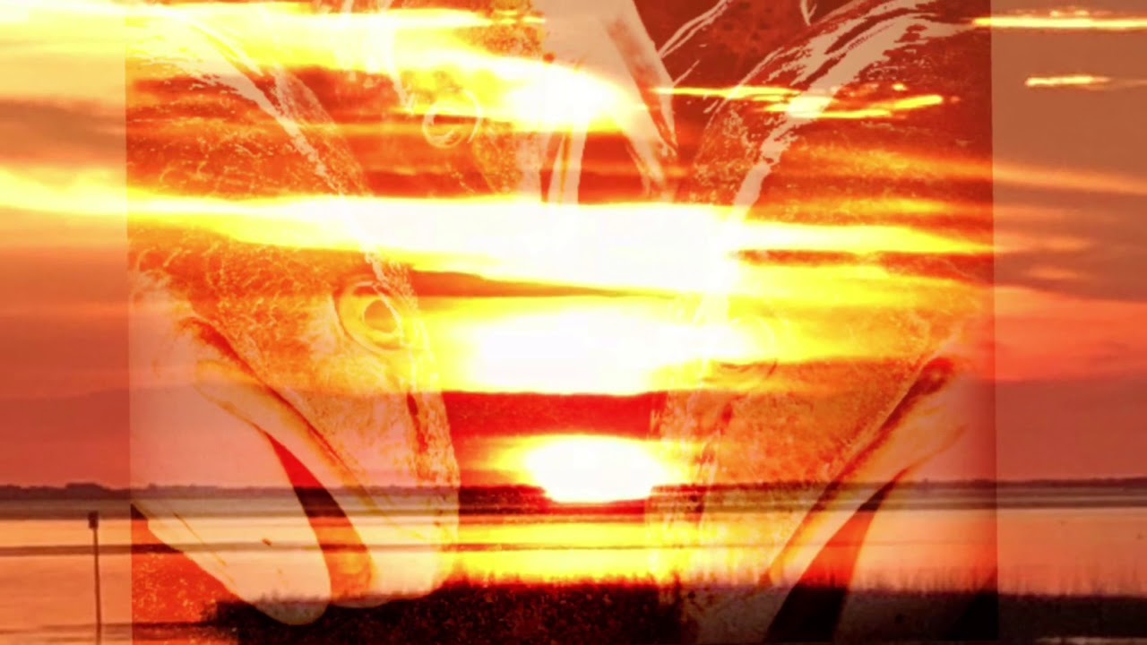 A sunset on Galveston Tx Bay - YouTube