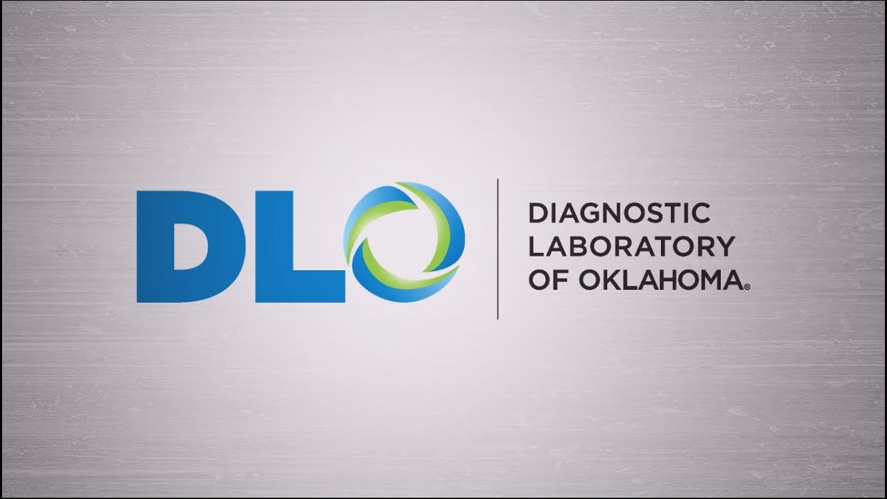 DLO Overview Video with Dennis Hogle - YouTube
