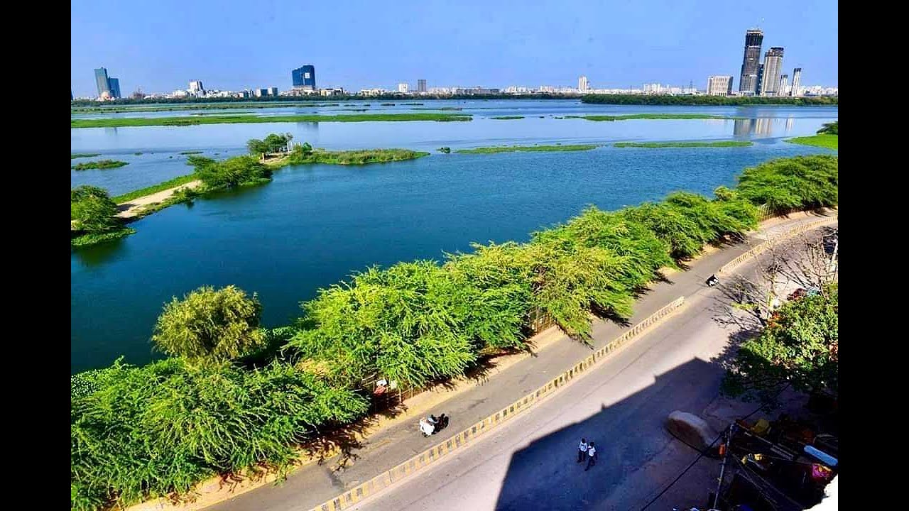 Lockdown Bliss: Yamuna Healing Itself Says Govt Report - YouTube