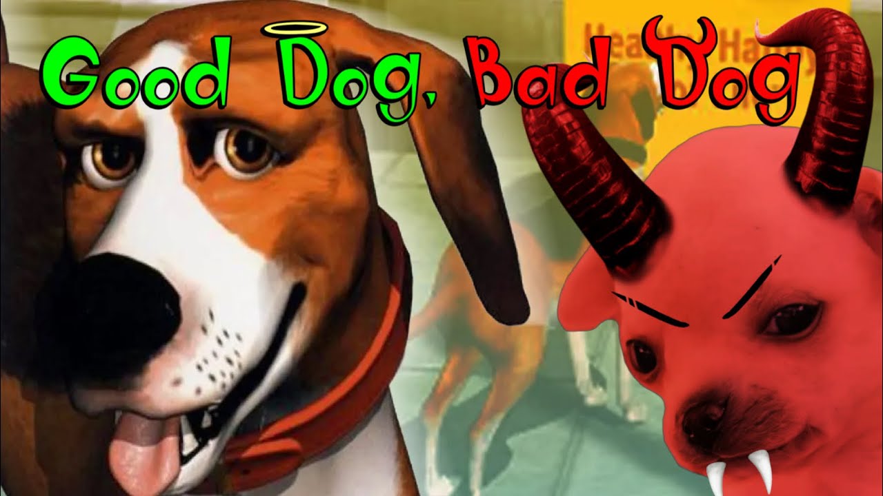 Good Dog Bad Dod - YouTube