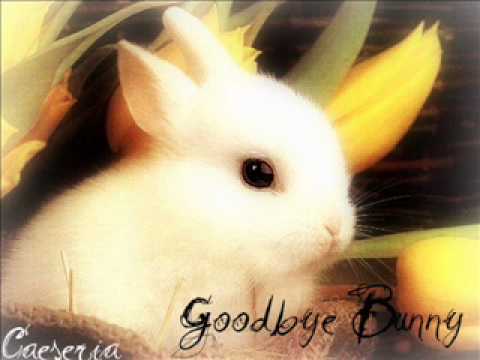 Goodbye Bunny - YouTube