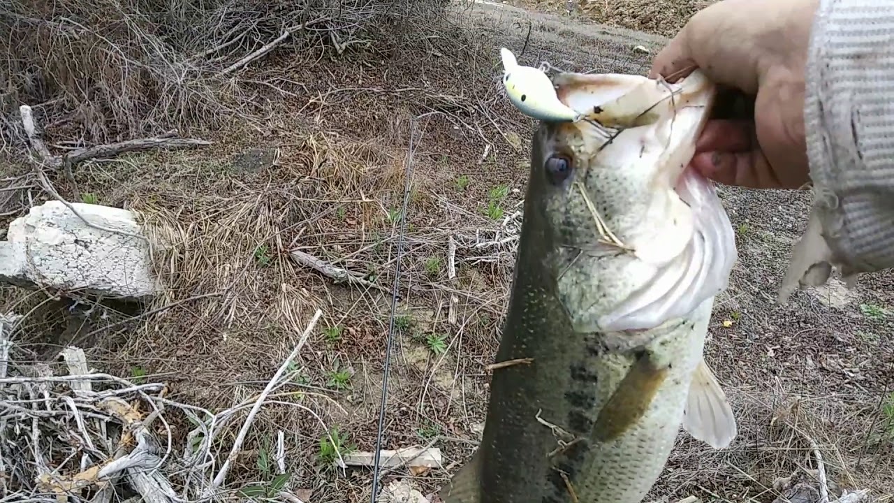 Cowboy Bass Catching 👍👊😄 - YouTube
