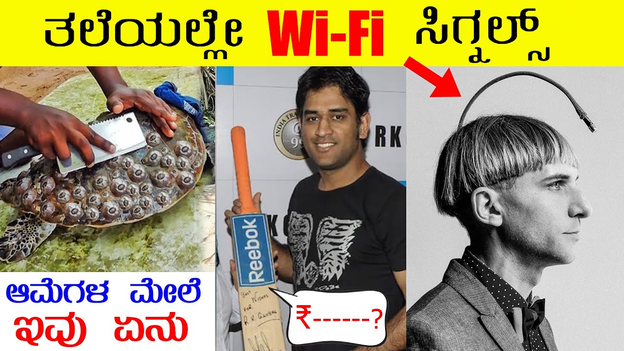 Amazing and interesting facts episode 53 | first cyborg in the world ...