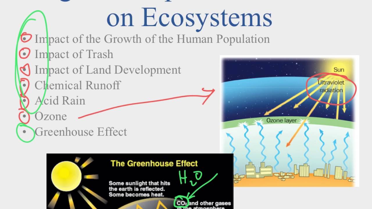 Biology B 7.2a Human Impacts - YouTube
