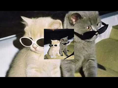 Nashe Si Chadh Gayi - sped up