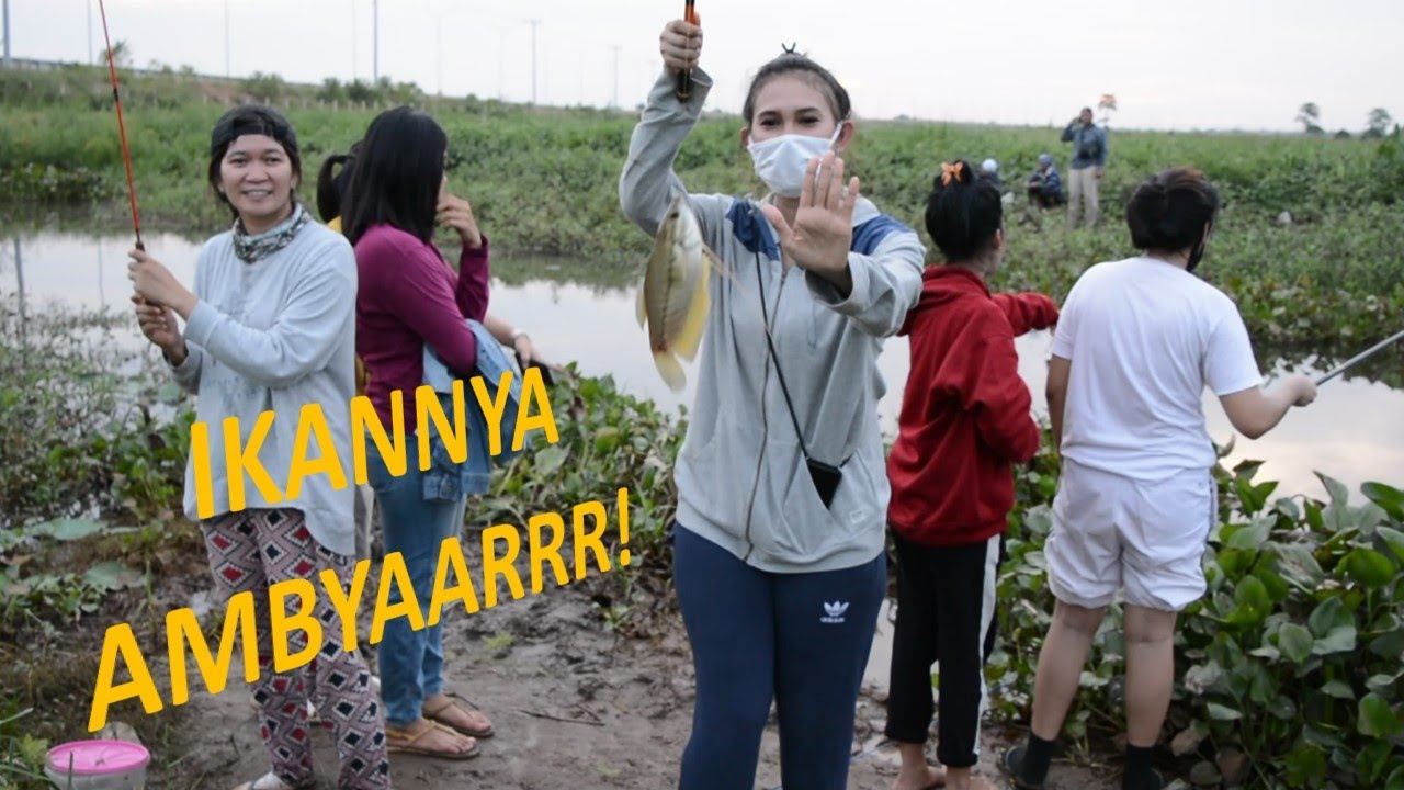 Mancing Cantik dan Ambyar di Bawah Jalan Raya - YouTube