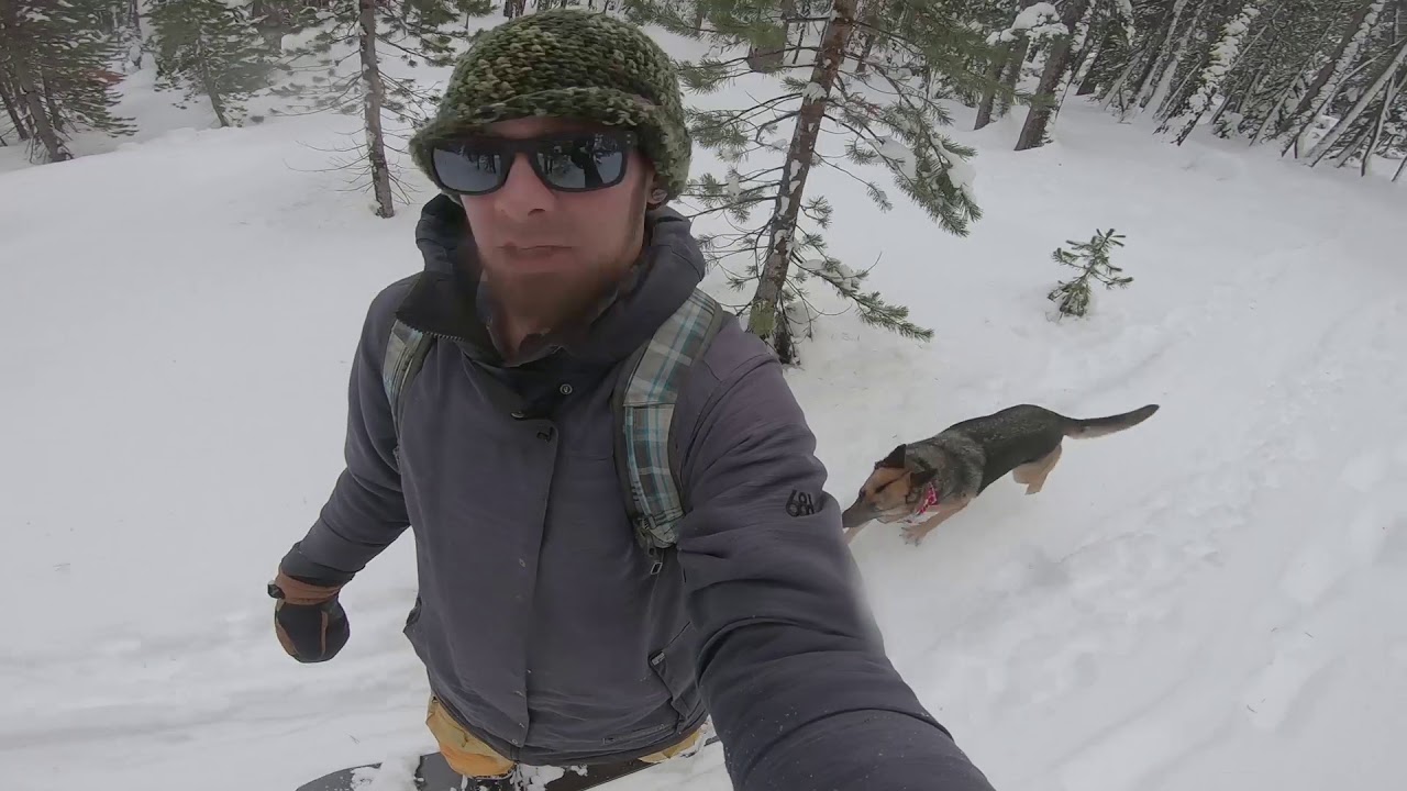 Hiking with Shasta Dog for her 1 year anniversary adoption day - YouTube