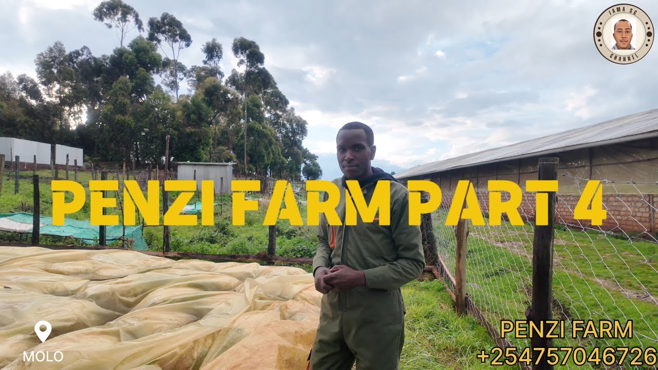 PENZI FARM PART 4 - YouTube