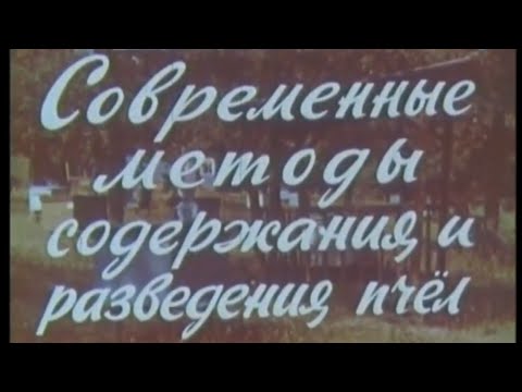 Современные методы содержания и разведения пчёл. Фильм СССР