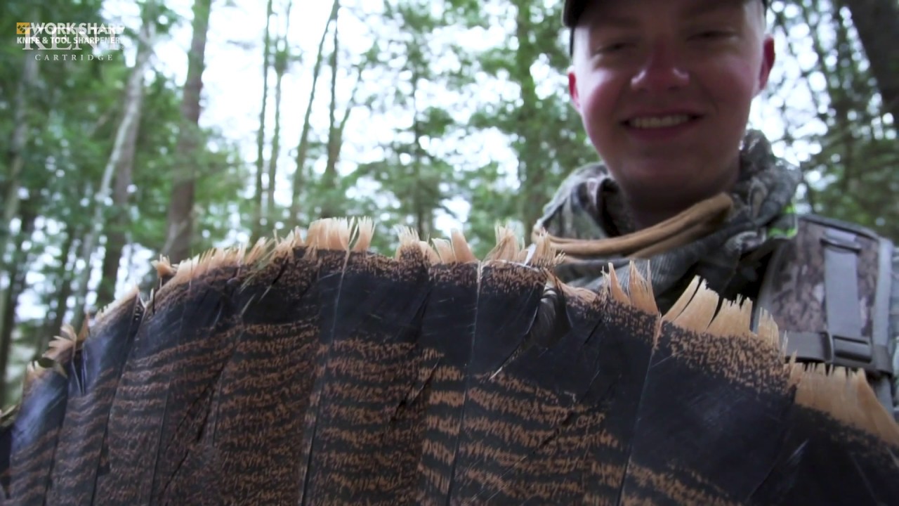 Eastern Strut: 3 Guns, 3 Longbeards and a National Forest Gobbler - YouTube