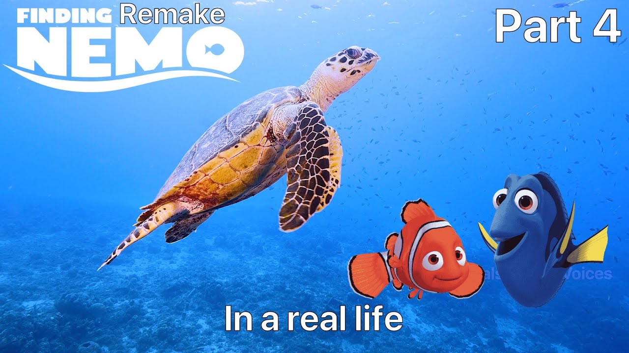 Real Animals Bring Finding Nemo to Life | Animals Cinema Voices Parody ...