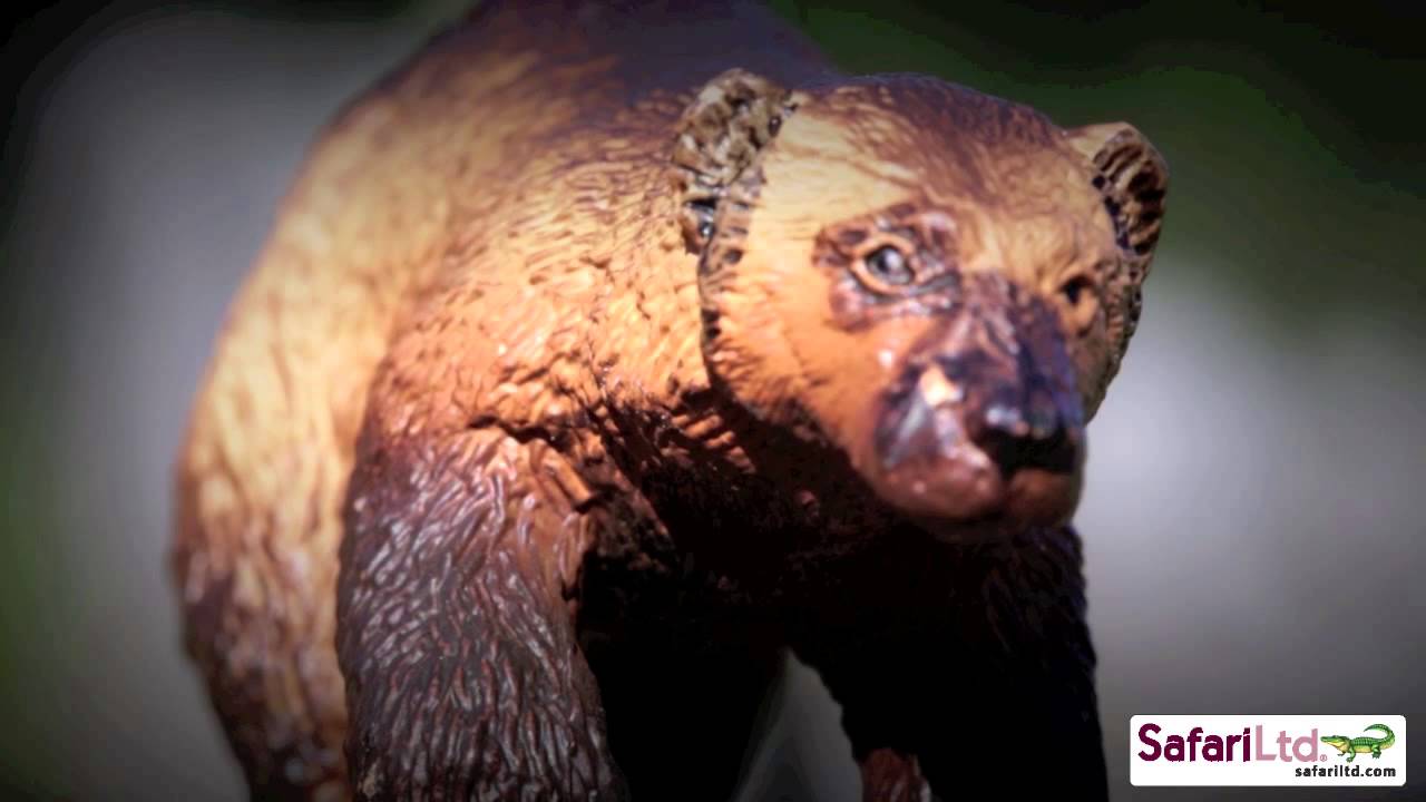 Safari Ltd® Wild Safari® Wolverine - 360 degree view! - YouTube