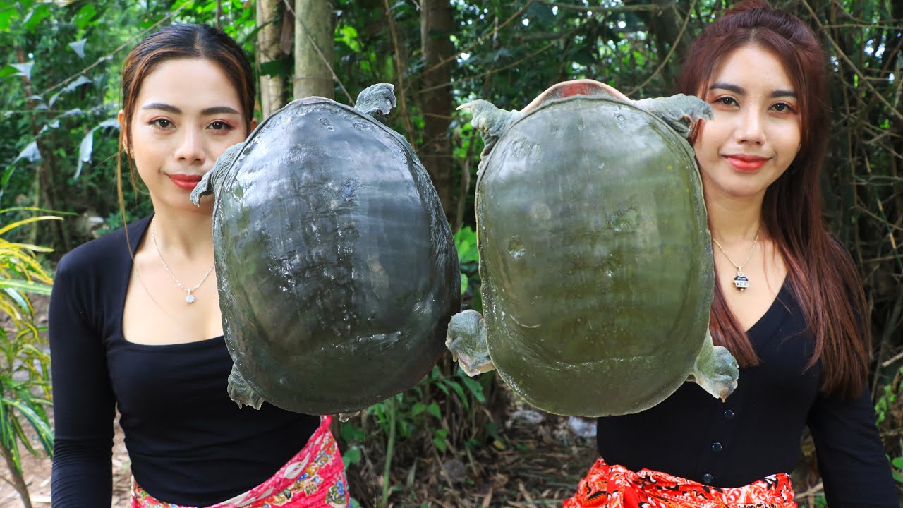 Yummy cooking Stir-fried turtle and Roasted it with soft recipe ...