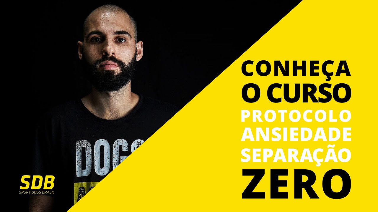CURSO PROTOCOLO ANSIEDADE DE SEPARAÇÃO ZERO - YouTube