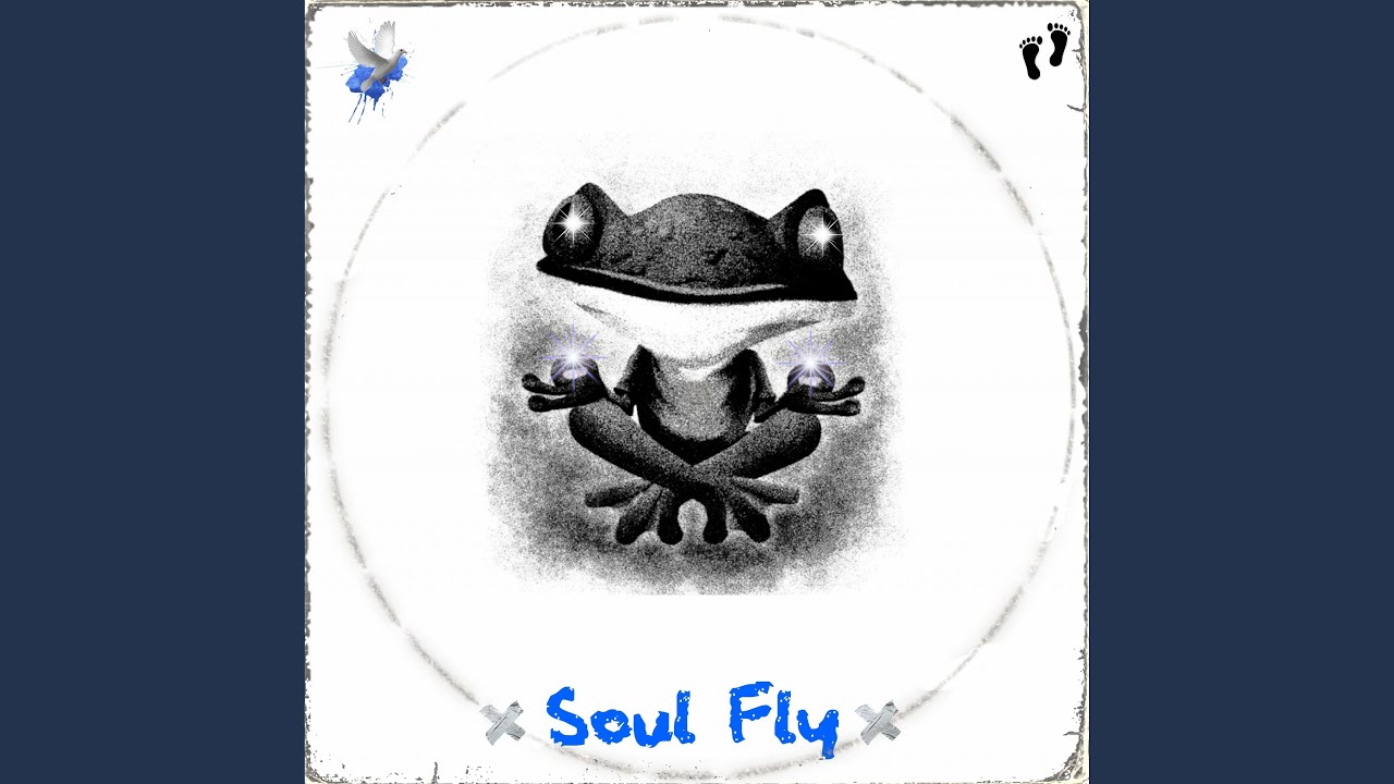 Soul Fly - YouTube Music