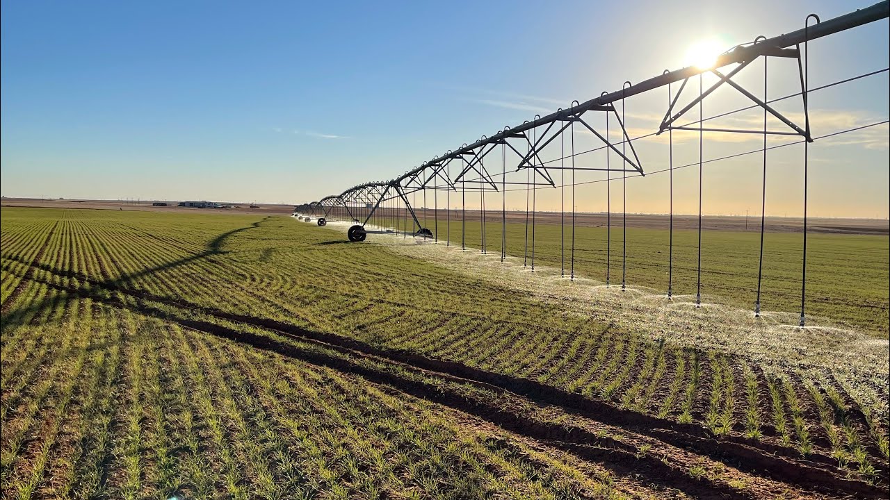 How we irrigate our crops - YouTube