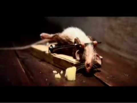 Best Ad of 2010 (HQ) - YouTube
