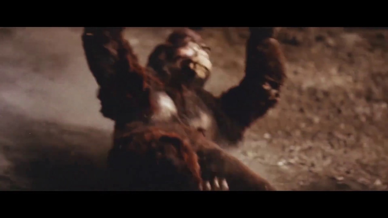 funny monkey versus stinky lizard - YouTube