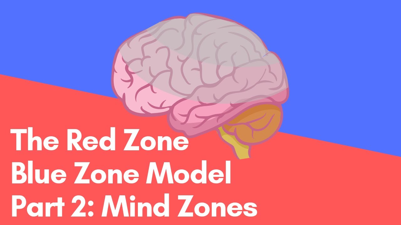 The Red Zone - Blue Zone Model - Part 2 | Andrew Mowat - YouTube